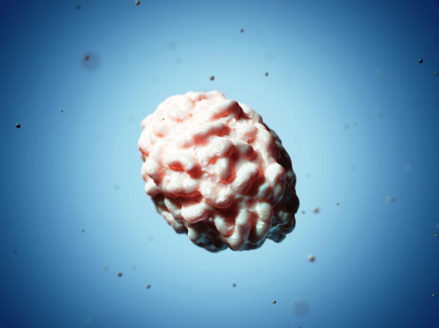 Smallpox Virus Particle Photograph by Sciepro/science Photo Library - Fine Art America