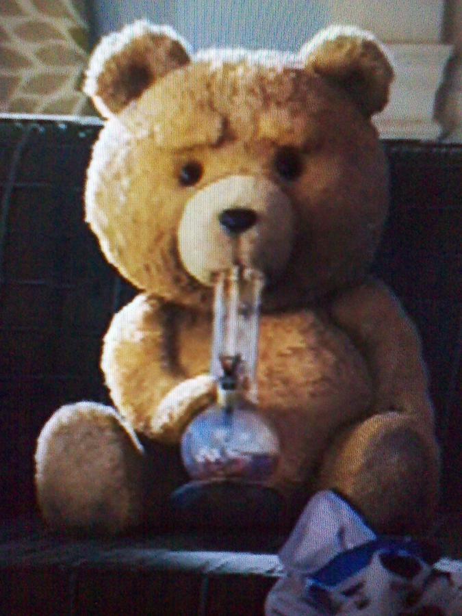 Smoking Ted Photograph by Steffi Kylie - Pixels