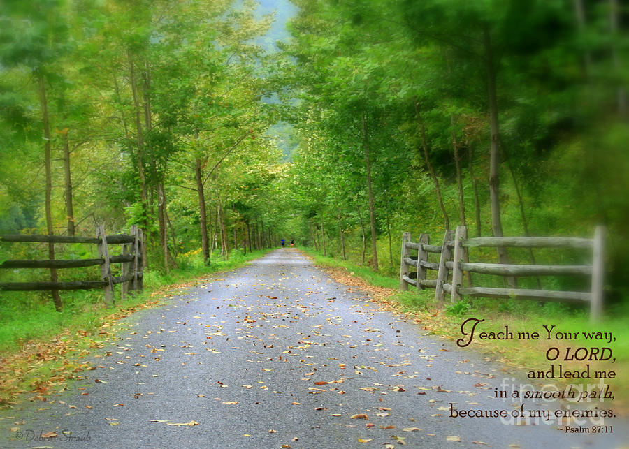 Smooth Paths Photograph by Debra Straub | Pixels