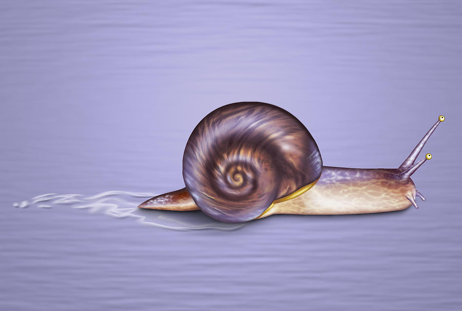 Snail Digital Art by Eric Beasley - Fine Art America