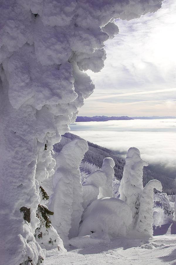 Snow Ghosts Photograph by Beth Marshall - Fine Art America