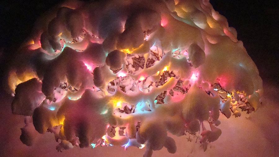 Snow Glow Photograph By Tricia Nilsson