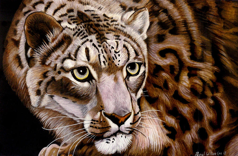 Snow Leopard Painting by Nigel Coe - Pixels