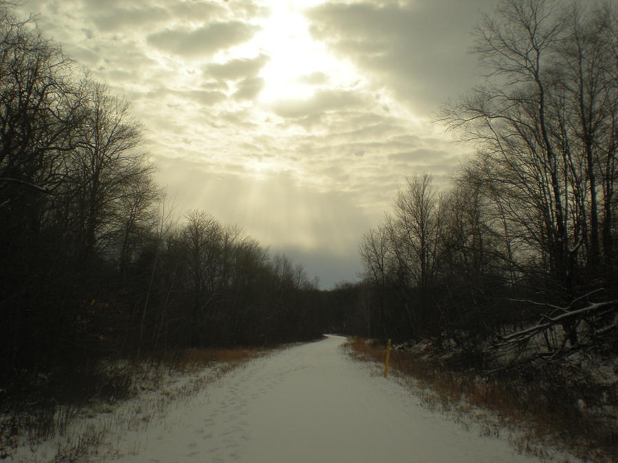 Snow Path Photograph by Tyler Marks - Fine Art America