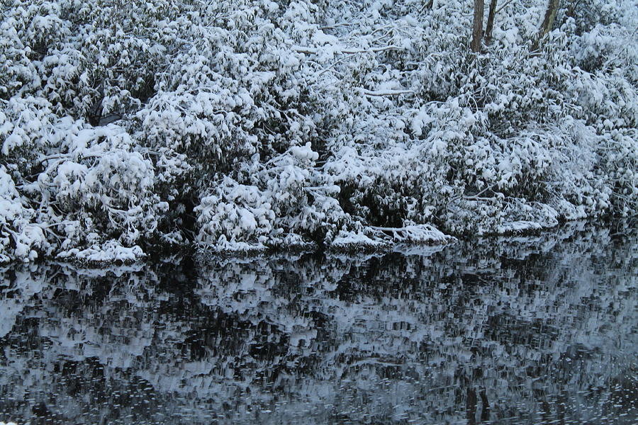Snow Reflection Photograph by Deb Keblinsky - Fine Art America