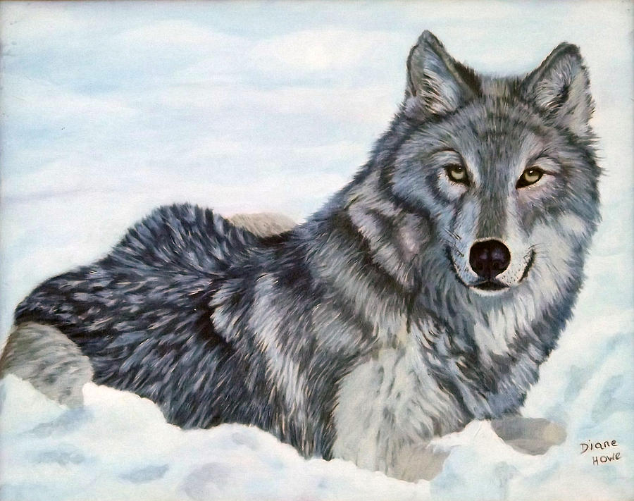 Snow Wolf Painting by Diane Howe - Fine Art America