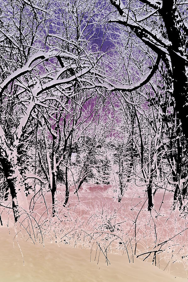 Snowbow Photograph by Christopher Des Baux - Fine Art America