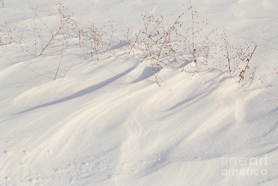 Snowdrift Patterns Photograph by Sharon Elliott - Fine Art America
