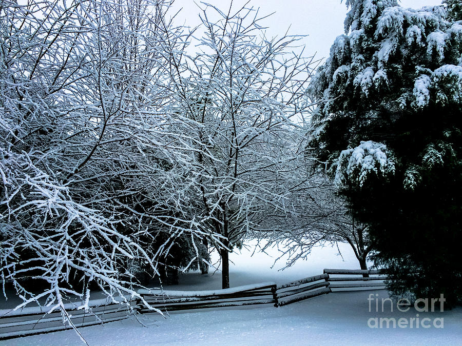 Snowfall Photograph by Veronica Zalewa