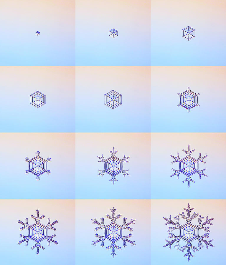 Snowflake Formation Photograph by Kenneth Libbrecht - Pixels