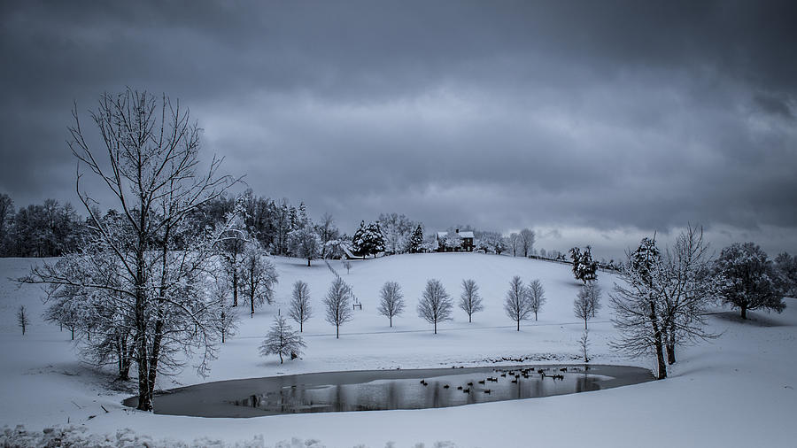 Snowscape Photograph by Christopher Kimball - Fine Art America