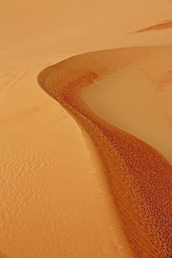 Soft Curves Photograph by John Langdon - Fine Art America