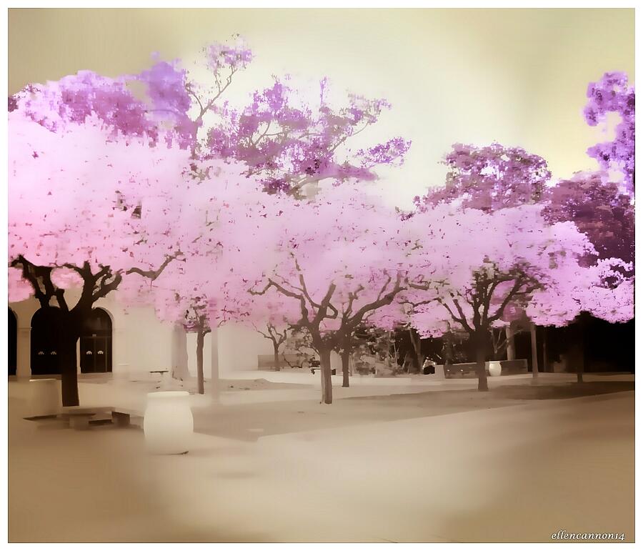 Soft Entry Photograph by Ellen Cannon - Fine Art America