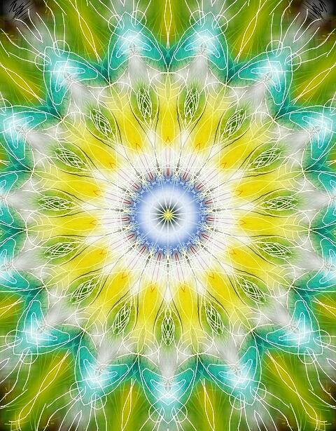 Soft Lines Digital Art by Michael African Visions - Fine Art America