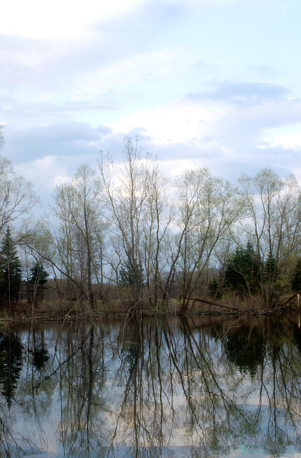 Softly Spring Photograph by Jon Lord | Fine Art America