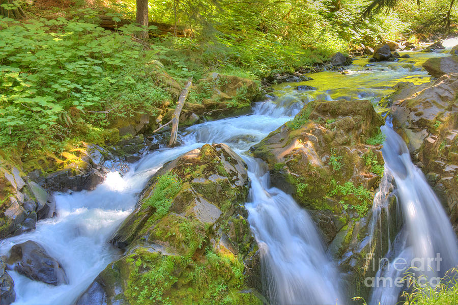 Sol Duc Falls Photograph by Larry Whiting