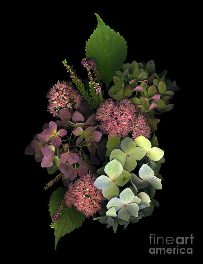 Solace Photograph by Dale Hoopingarner - Fine Art America