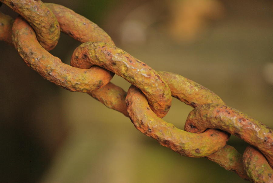 Solid Link Photograph by SBuras Photography - Fine Art America