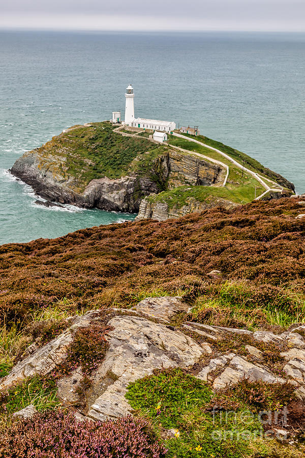 South Stack Lighthouse Photograph by Adrian Evans - Fine Art America