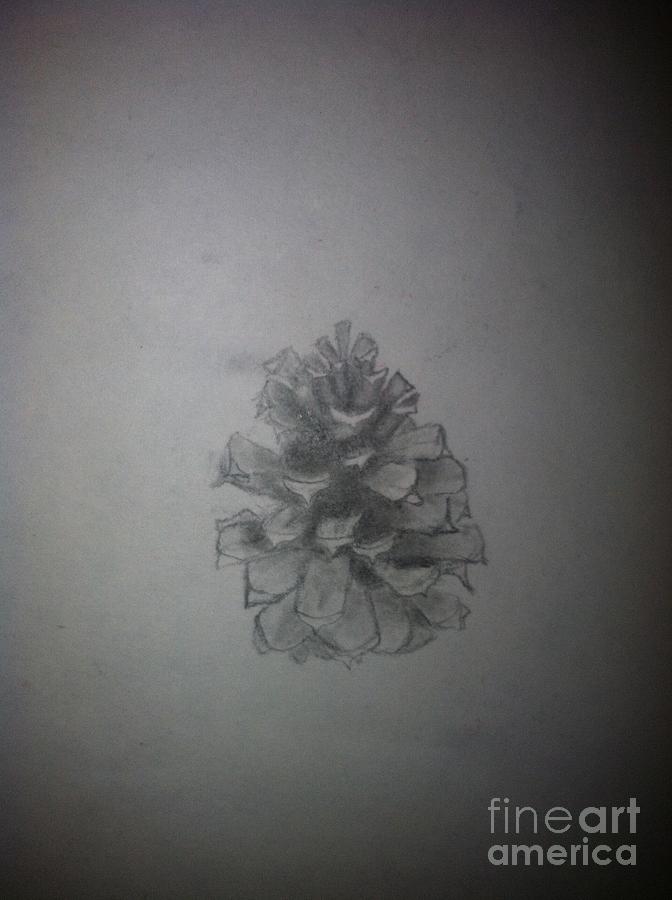 Southern Bell Drawing by Jay Hamlet - Fine Art America