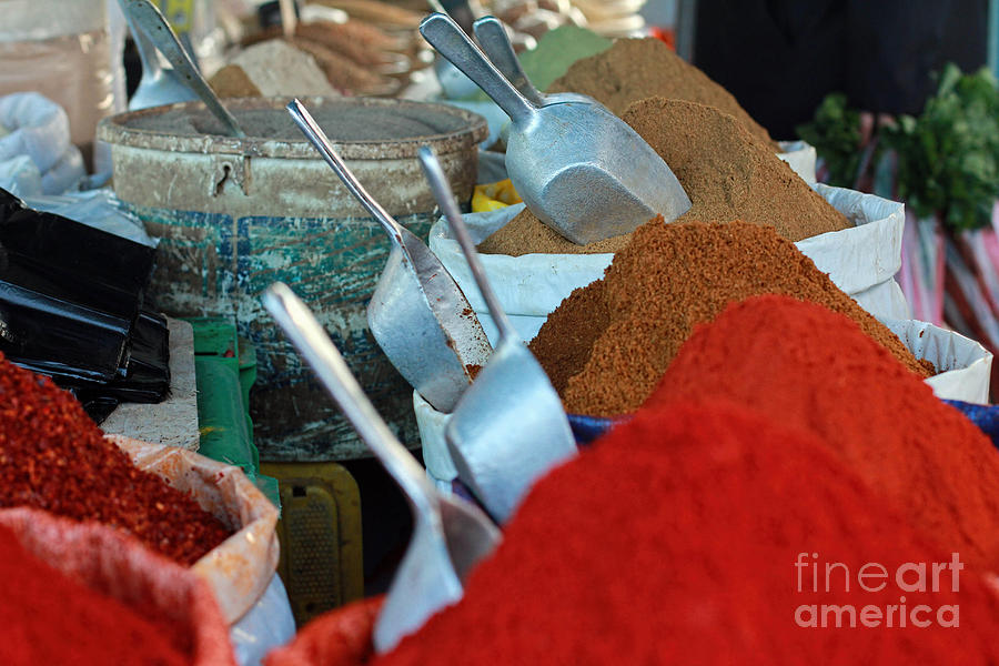 Spices Photograph by Afli Sam - Fine Art America