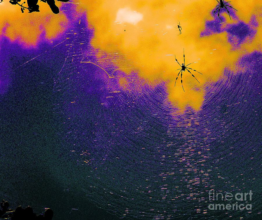 Spider web abstract Photograph by David Call - Fine Art America