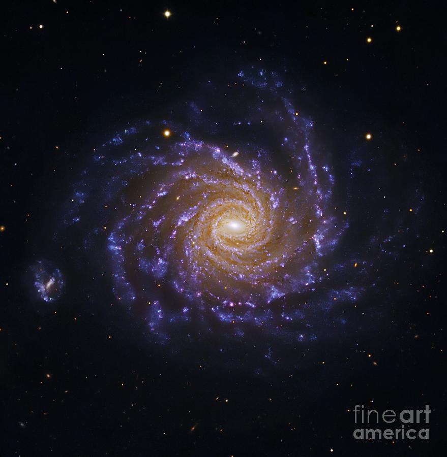Spiral Galaxy Ngc 1232, Optical Image Photograph by Robert Gendler - Fine Art America