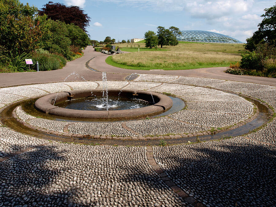 Spiral Path Photograph by Michaela Perryman - Pixels