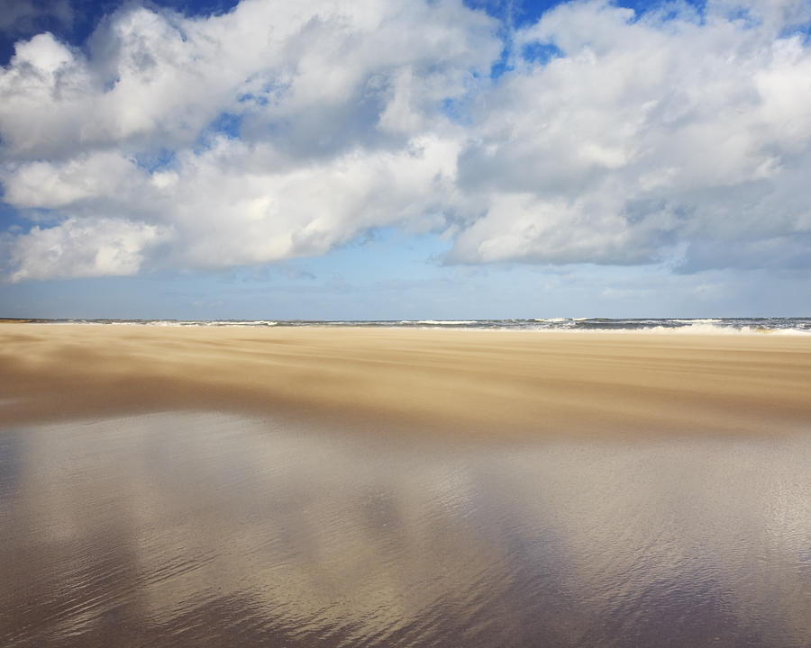 Splendid Isolation Photograph by David Taylor - Fine Art America