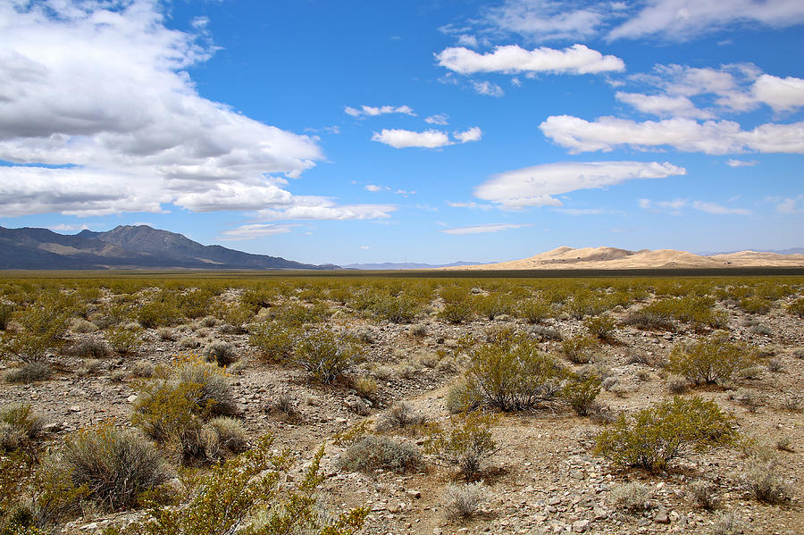 Split Desert Photograph by Marc Levine - Fine Art America