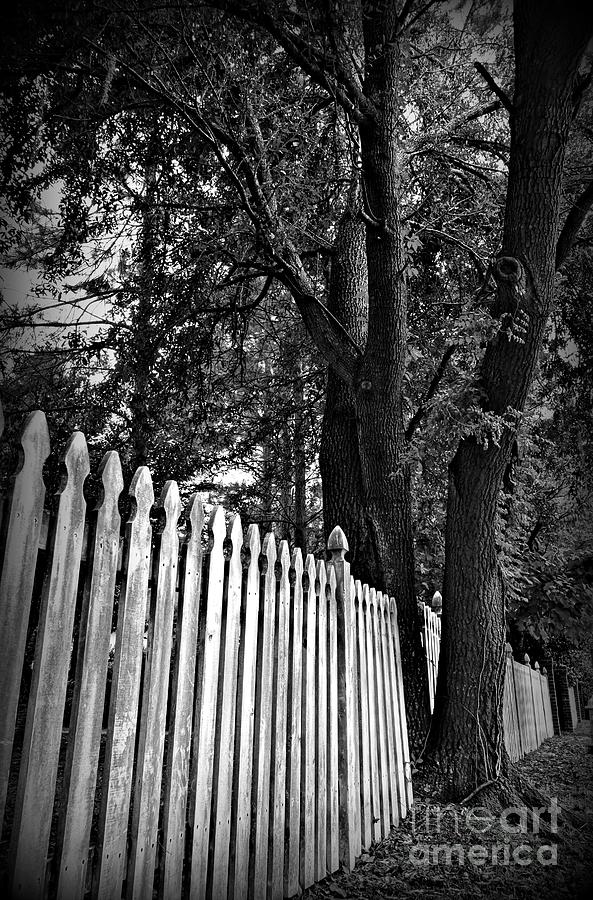 Split Fences Photograph by Anthony Ackerman - Fine Art America