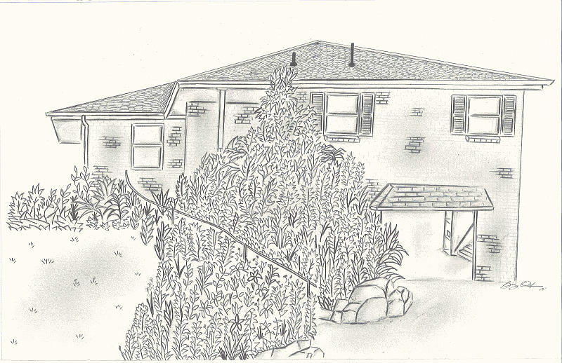 Split-Level Charm Drawing by Bryan Cotton - Fine Art America