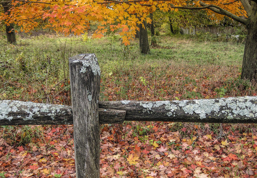 Split Rail Photograph by Stoney Stone - Fine Art America