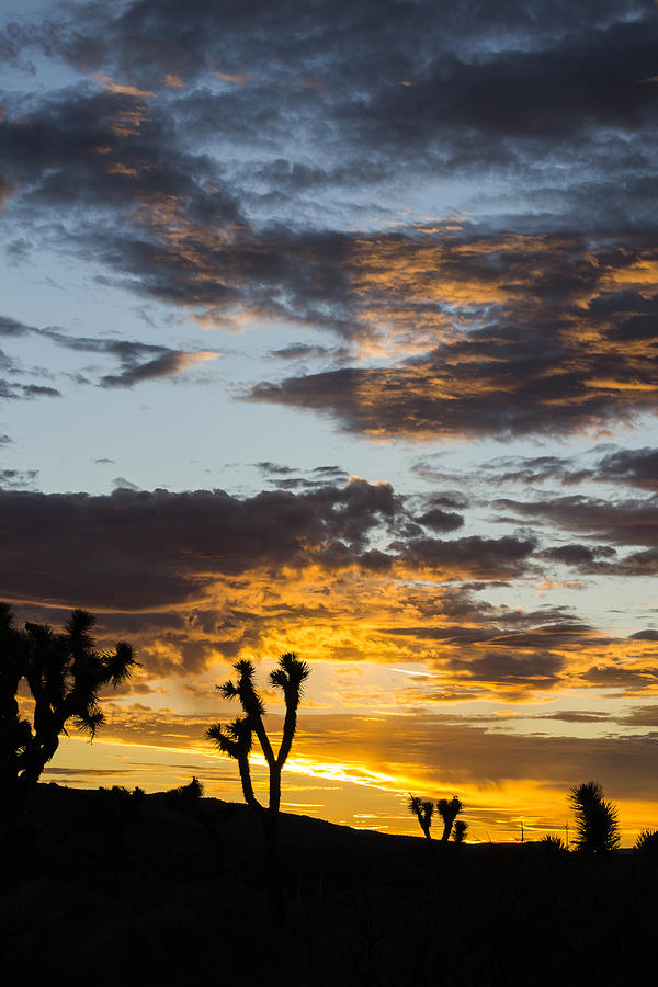 Split skies Photograph by David Fishter - Fine Art America