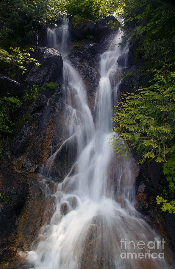 Split Top Falls Photograph by Michael Dawson - Fine Art America