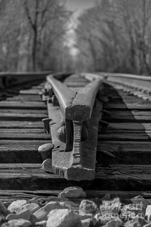 Split Track Photograph by Rick McKee - Fine Art America