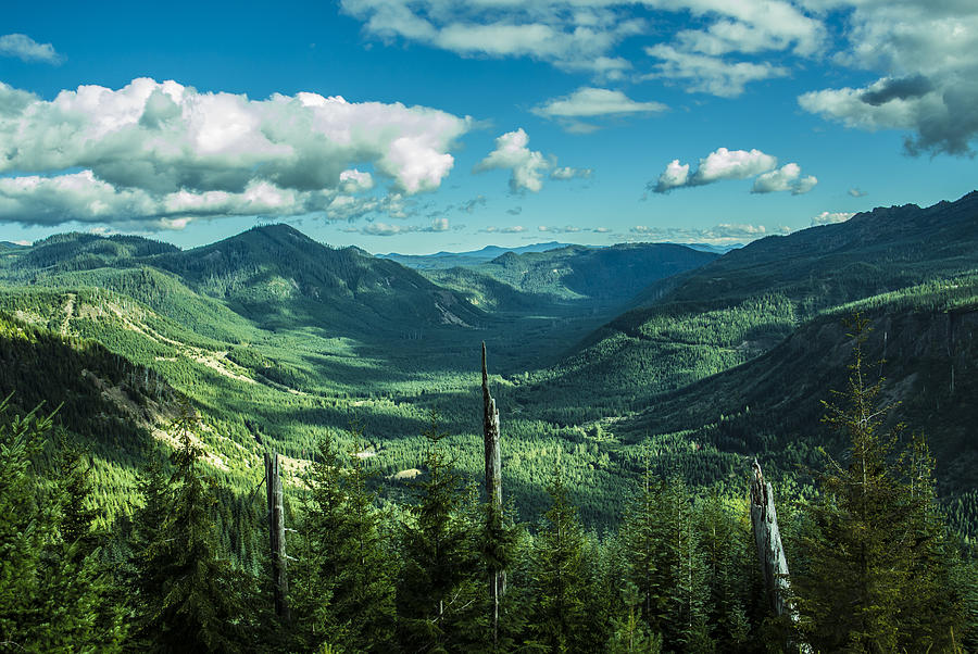 Sprawling Photograph by Steven Walker - Fine Art America