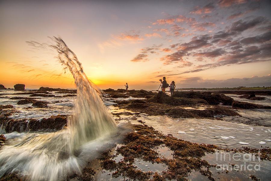 Spread it Out Photograph by Sendhi Kurniawan - Fine Art America