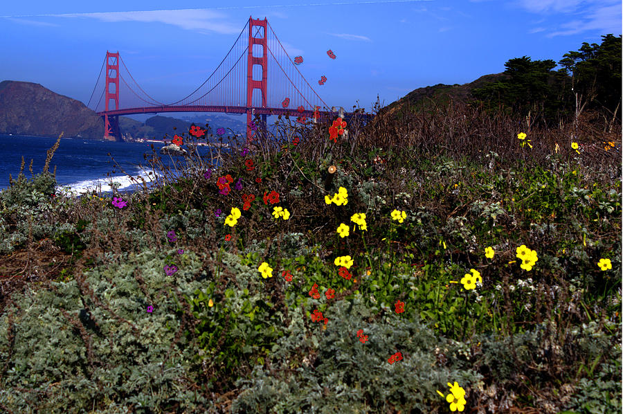 Spring at Golden Gate Bridge Photograph by Mel Gross - Fine Art America