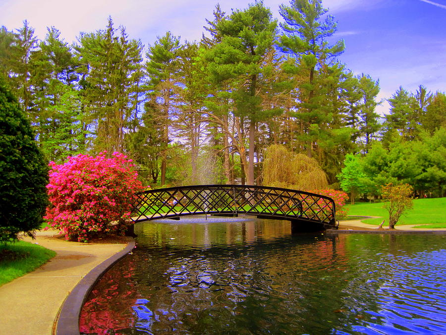 Spring - Atkinson Common Photograph by Suzanne DeGeorge - Fine Art America