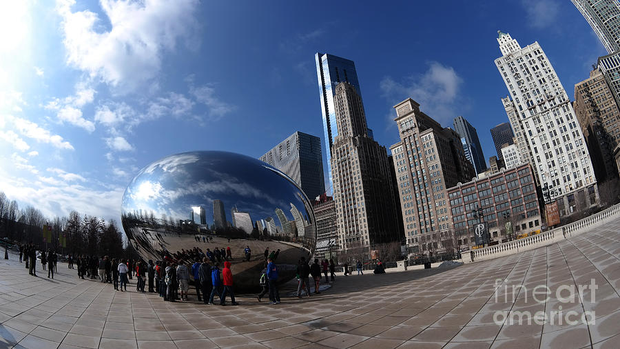 Spring Bean Photograph by David Bearden - Fine Art America