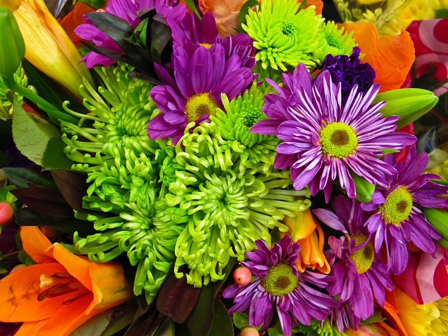 Spring Blast Photograph by Rachel Cohen - Fine Art America