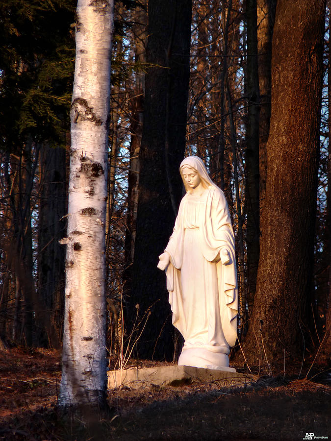 Spring Blessings Photograph by Fred LaPoint - Fine Art America