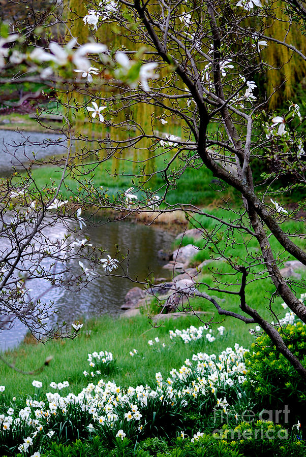 Spring Botanic Lake View Photograph by Nancy Mueller - Fine Art America