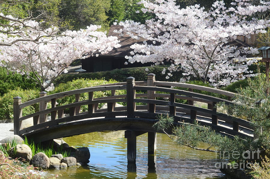 Spring Bridge Photograph by Charles Majewski - Fine Art America