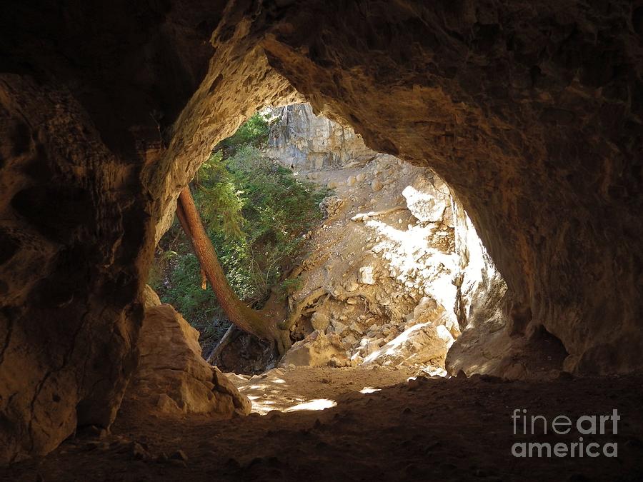 Spring Cave Photograph by Tonya Hance - Fine Art America