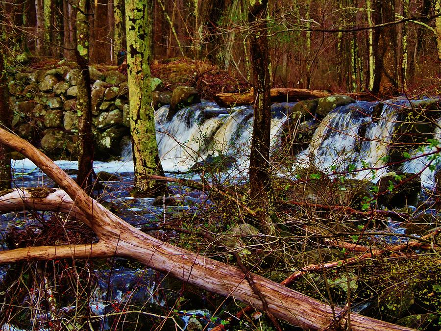 Spring Thaw Photograph by Greg Kear - Fine Art America