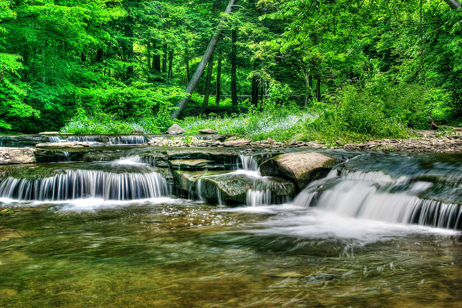 Spring Flow Photograph by Cindy Haggerty - Pixels