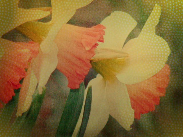 Spring Formation Photograph by Sheryl Bergman - Fine Art America