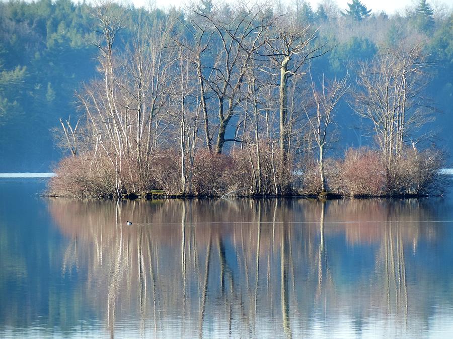 Spring Lake Photograph by Michael Gates - Fine Art America